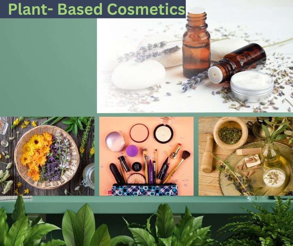 Plant-Based Cosmetics - Faasha