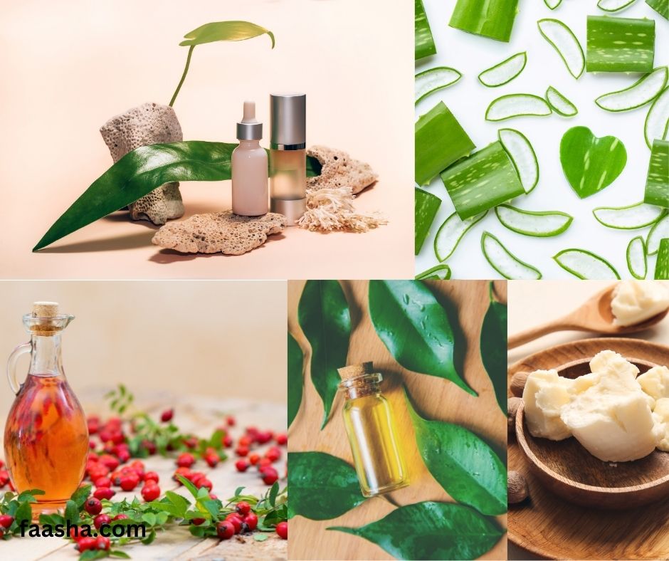 Plant-Based Cosmetics - Faasha